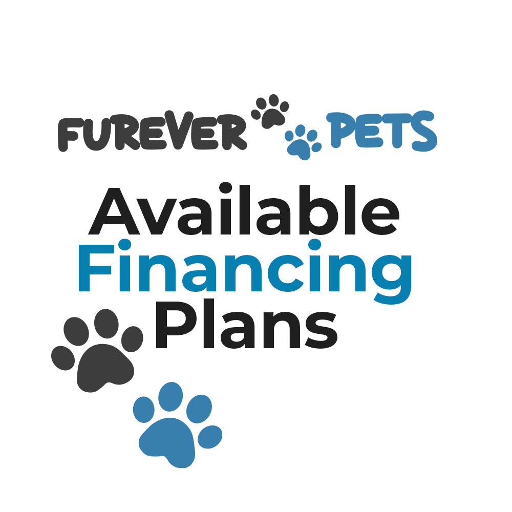 Financing – My Store